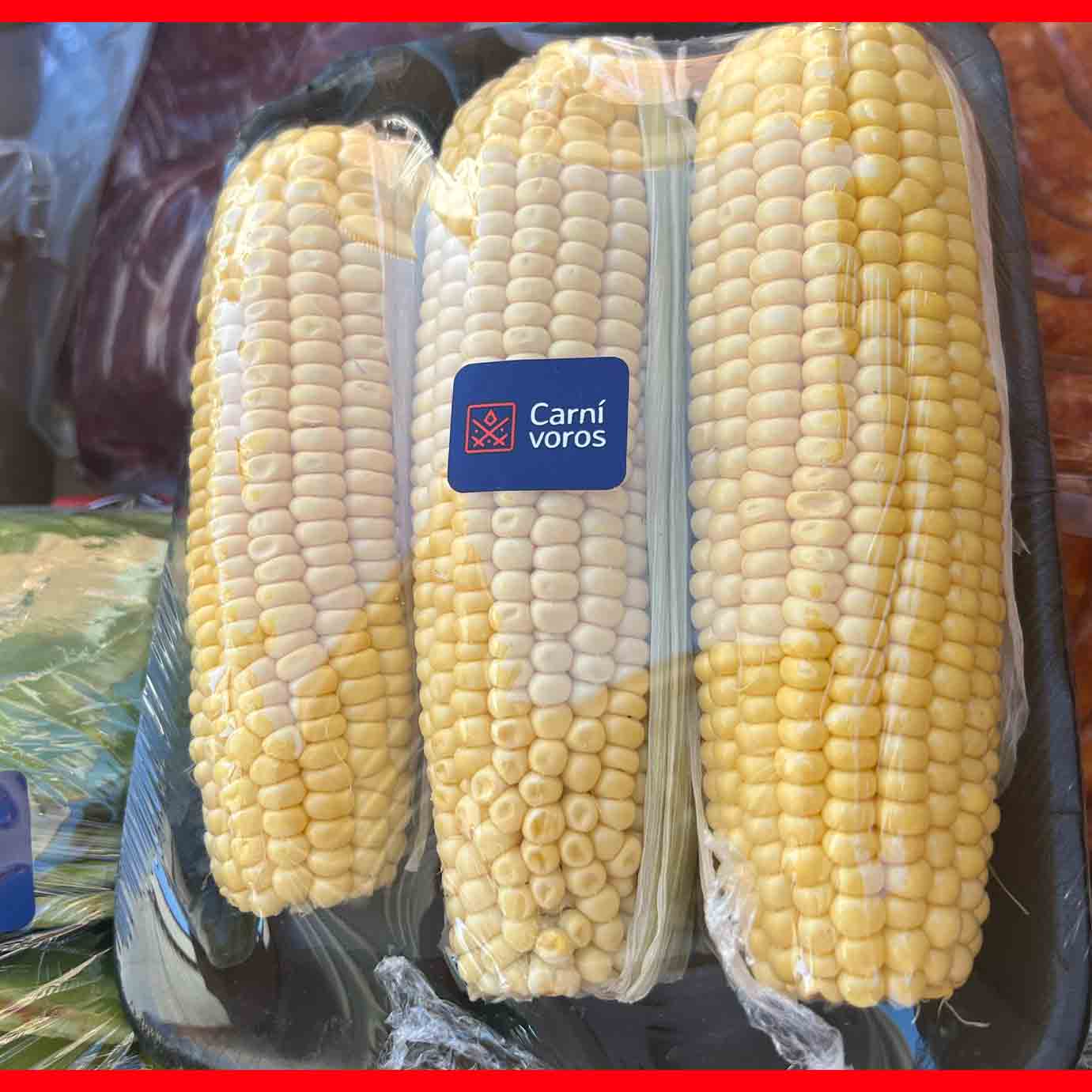 Elote Amarillo – Carnivoros